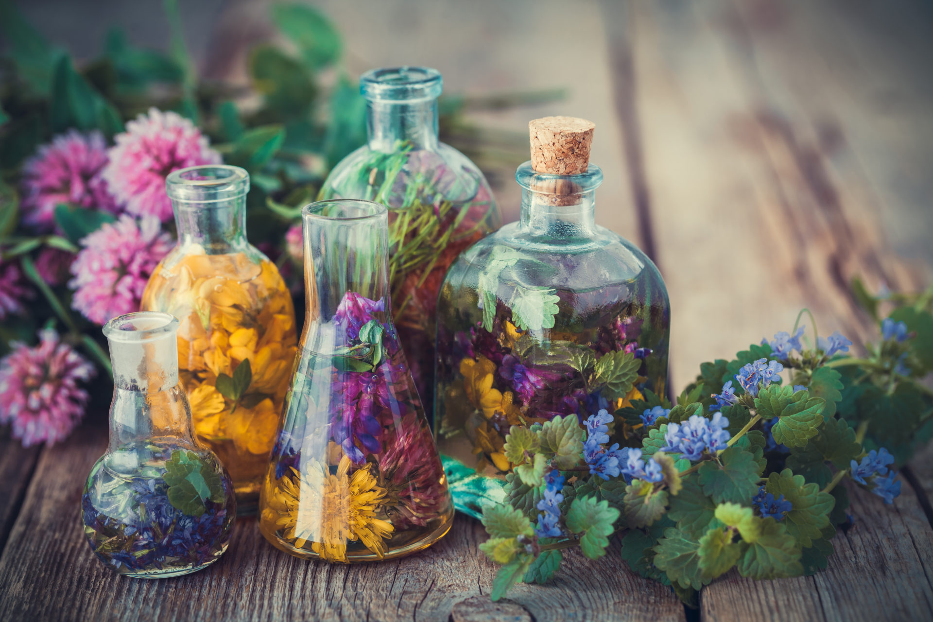 Phytothérapie - Nadia Tanner - naturopathe holistique à Genève